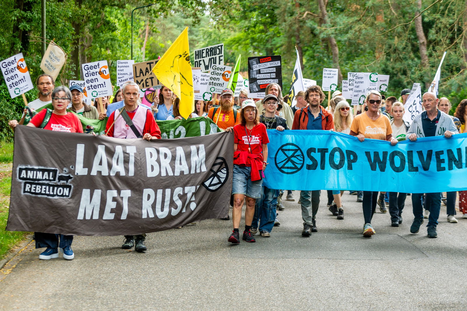 Waarom zijn de vergunningen voor het afschieten van de wolf 'onuitvoerbaar'? | NPO Radio 1