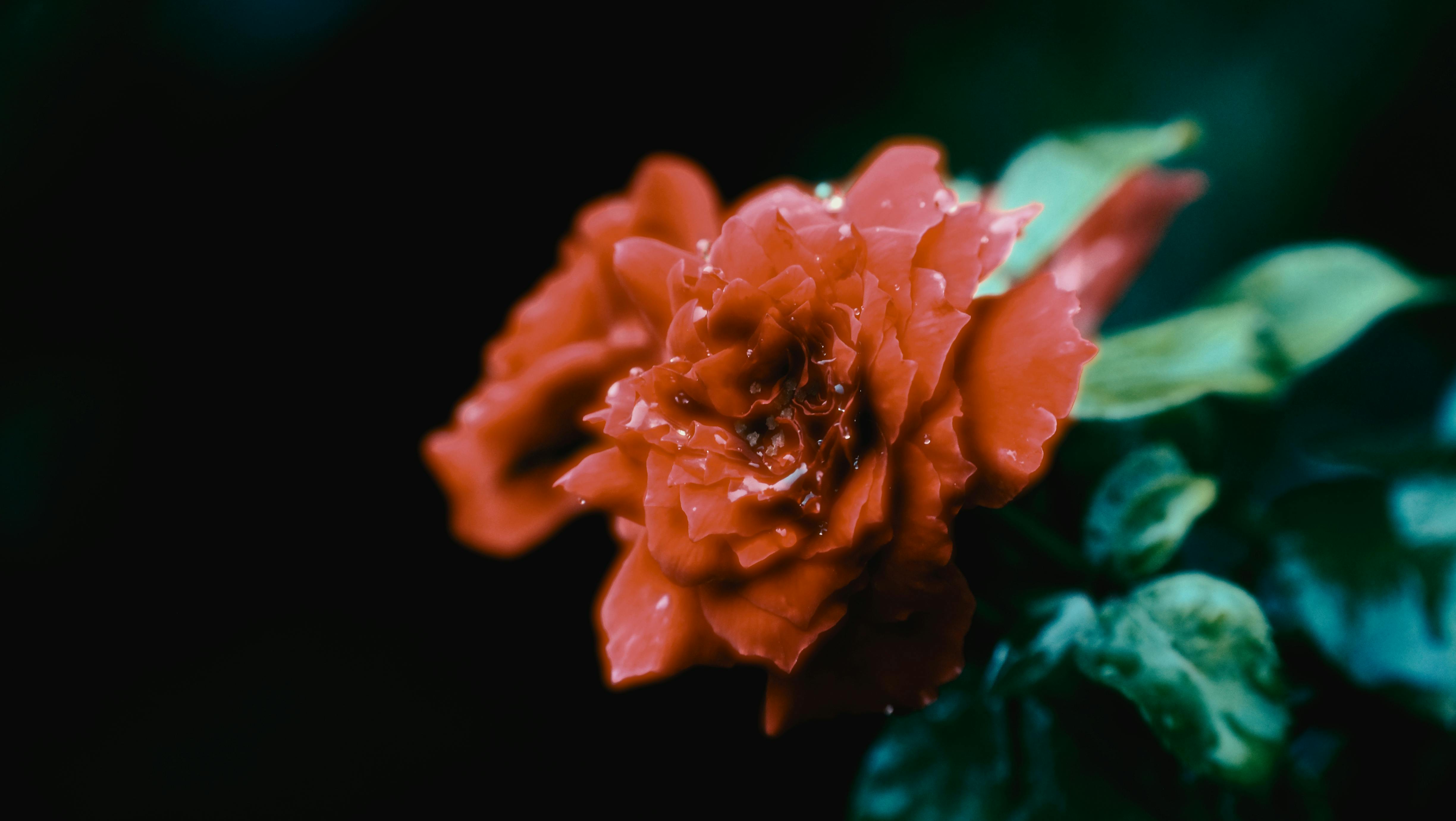 Kettingreactie: 9 juli 2025 | NPO Klassiek