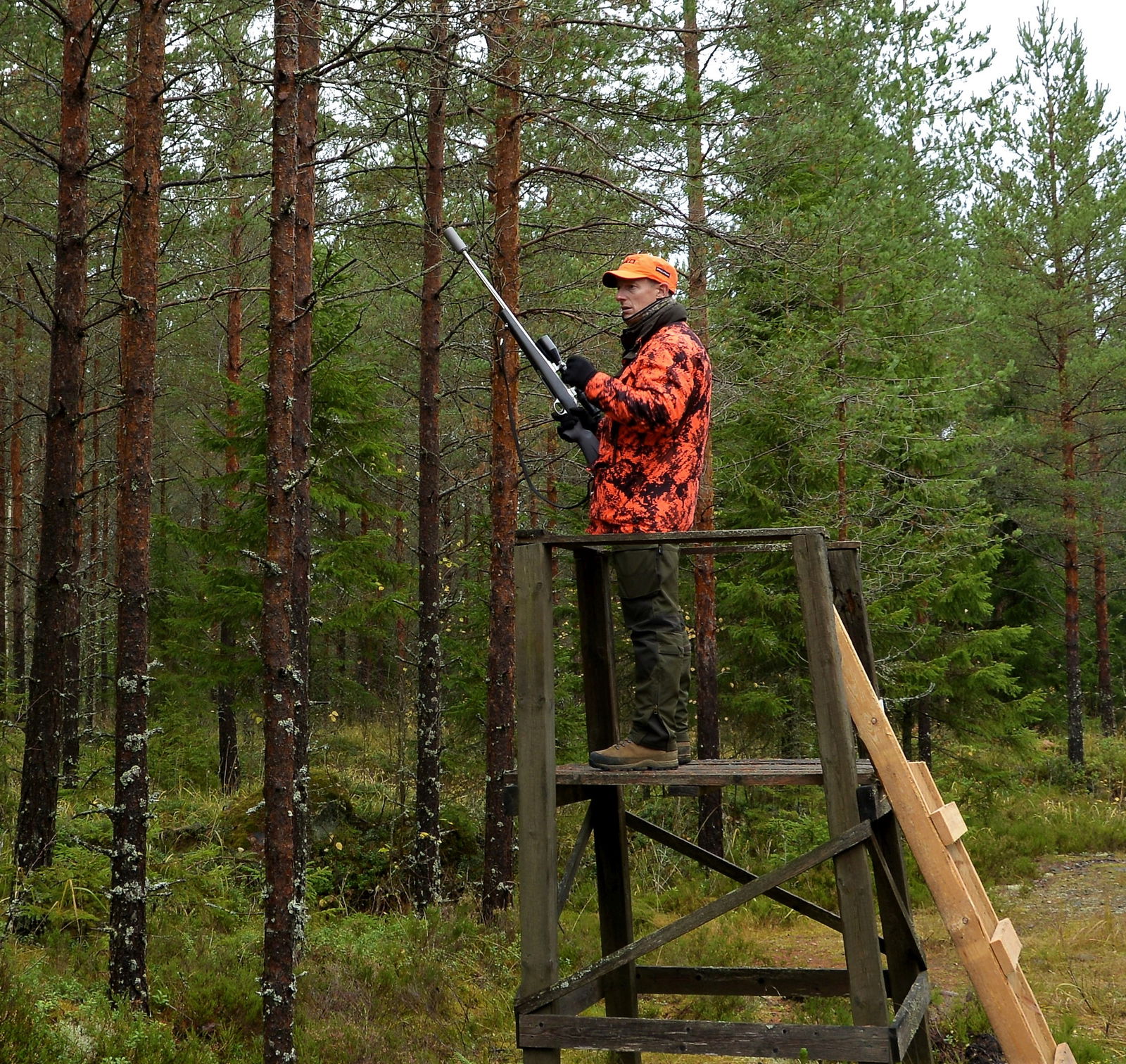 Jagers tellen wilde dieren, in het wild | NPO Radio 1
