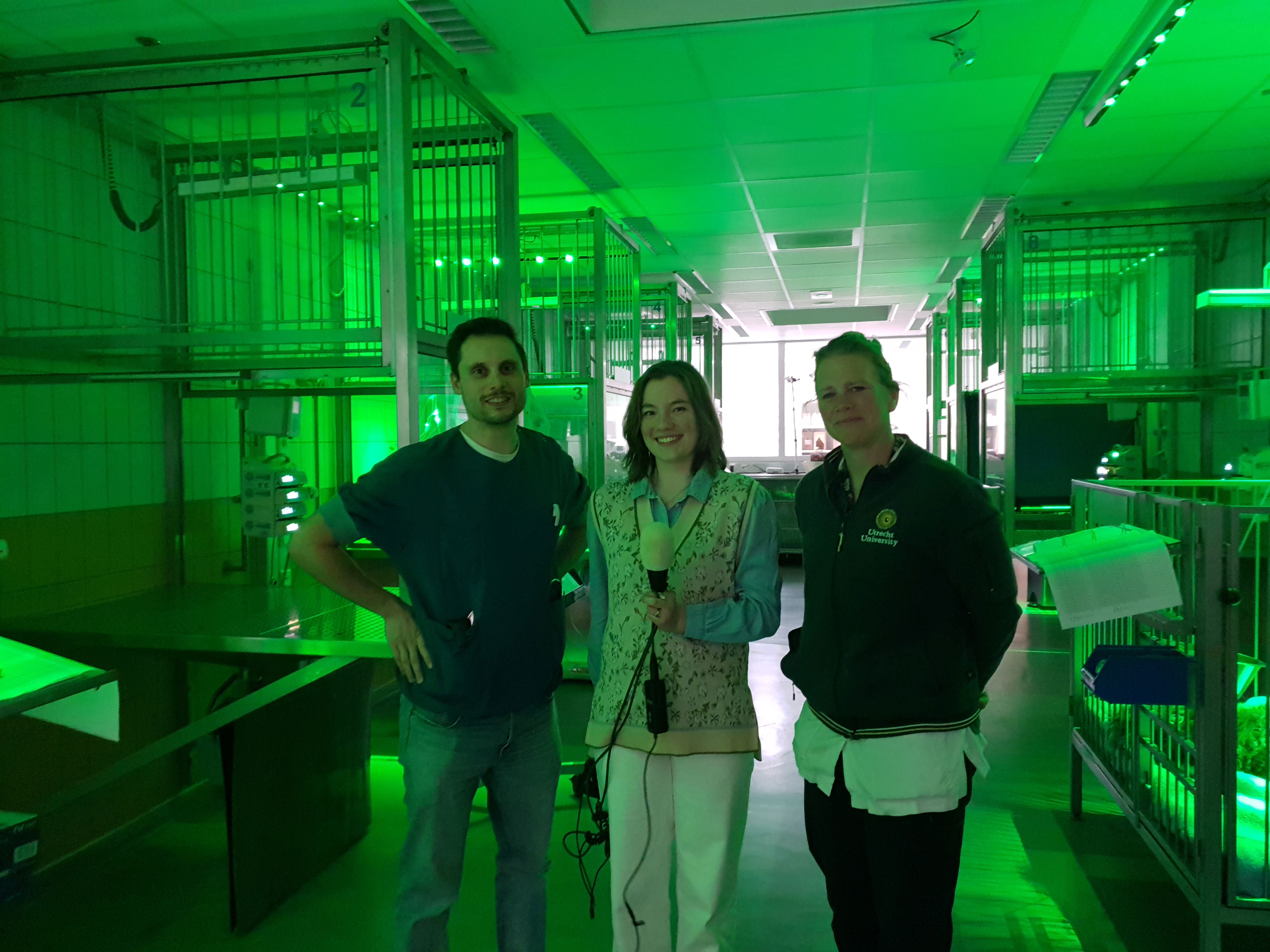 Ook in de nacht staan dierenartsen klaar voor Bello en Pluis | NPO Radio 1