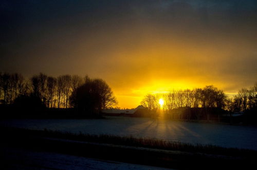 19:05 Gedicht: Bomen uit de trein gezien, van Guillaume van der Graft ...