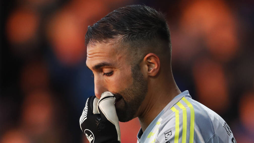 Iraanse-doelman Agil Etemadi beleeft het WK in een rollercoaster: 'Er ...