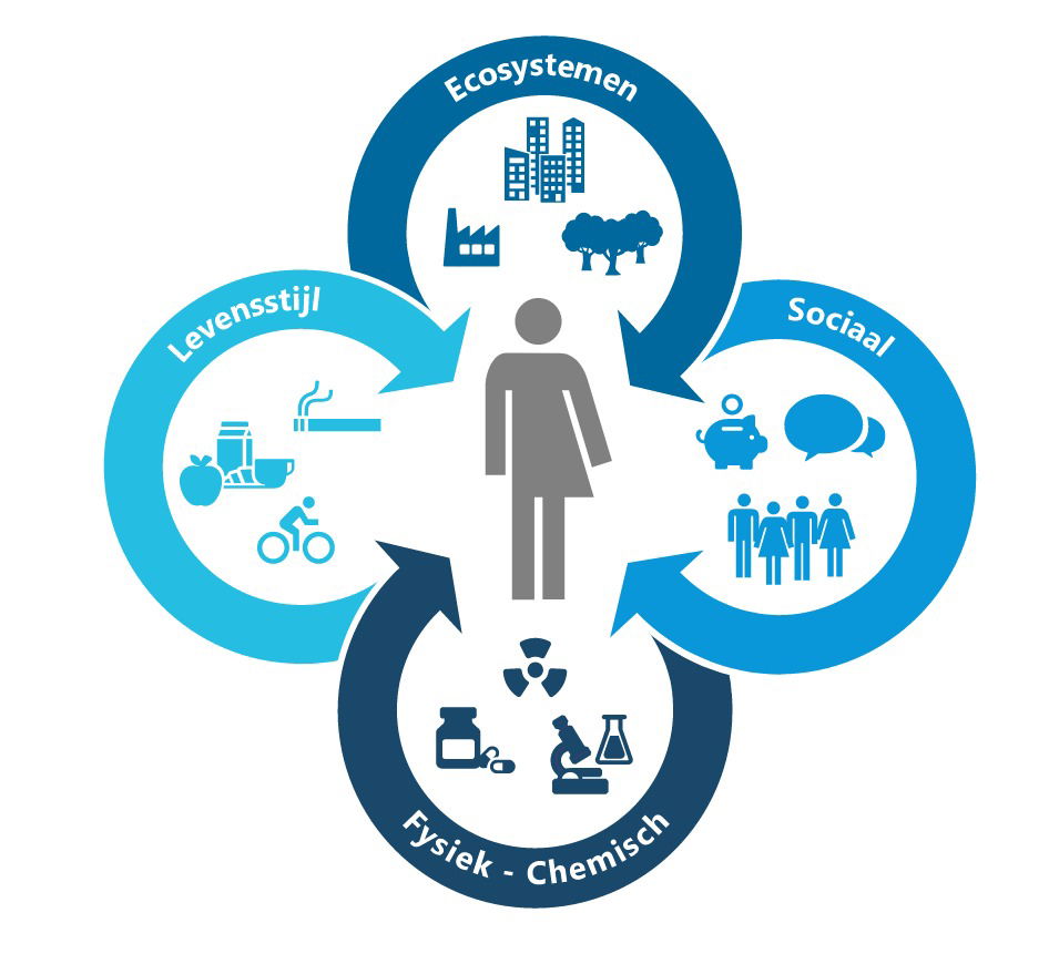 Wat is een exposoom? - In gesprek met de milieu-epidemioloog Roel Vermeulen | NPO Radio 1