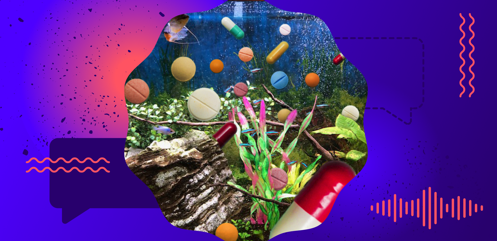 Stop antibioticaresistentie | NPO Radio 1