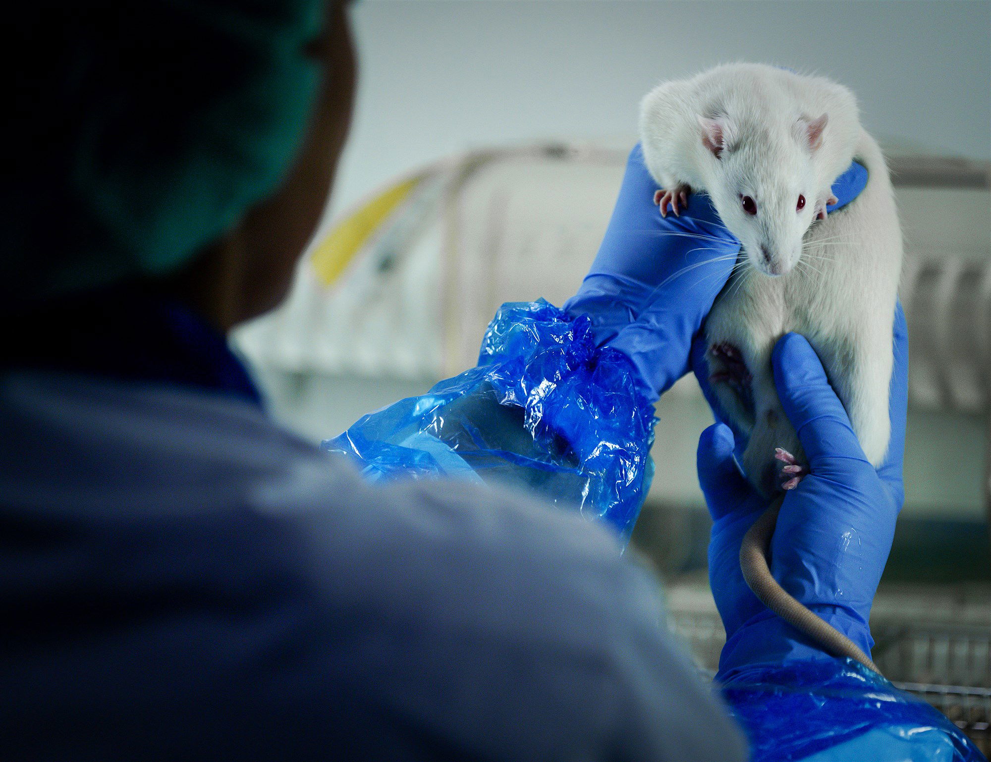 Kunnen we in de toekomst zonder proefdieren? | NPO Radio 1