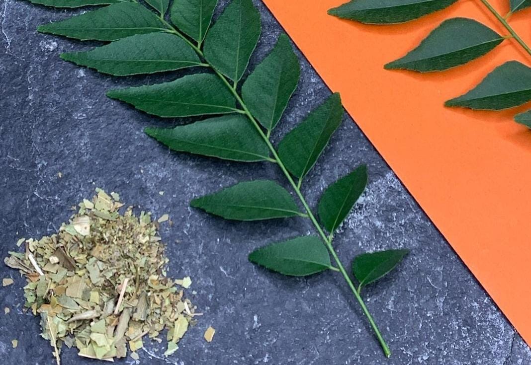 Thee van tuinbouwafval | NPO Radio 5