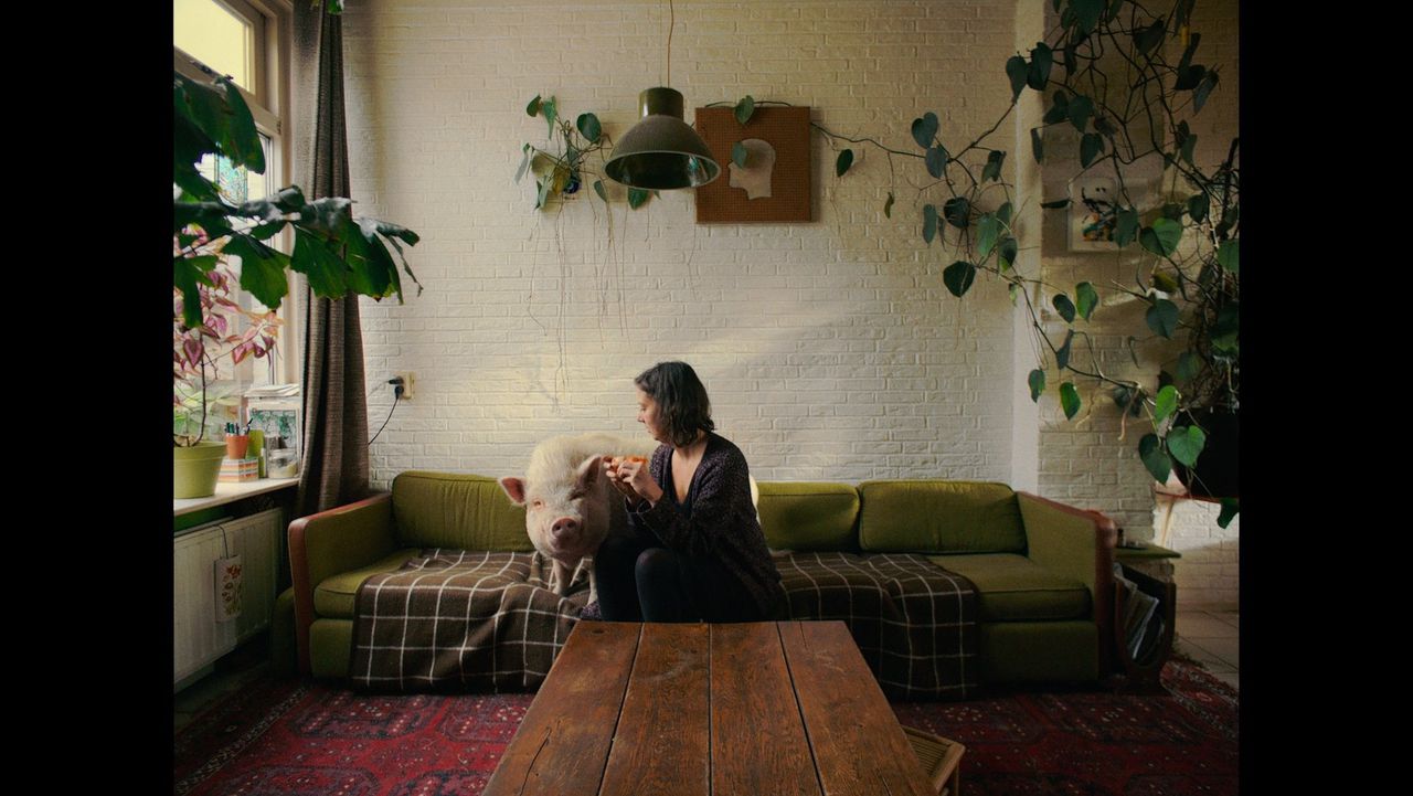 Johan Kramer over documentaire 'M'n Beessie en ik' | NPO Radio 5