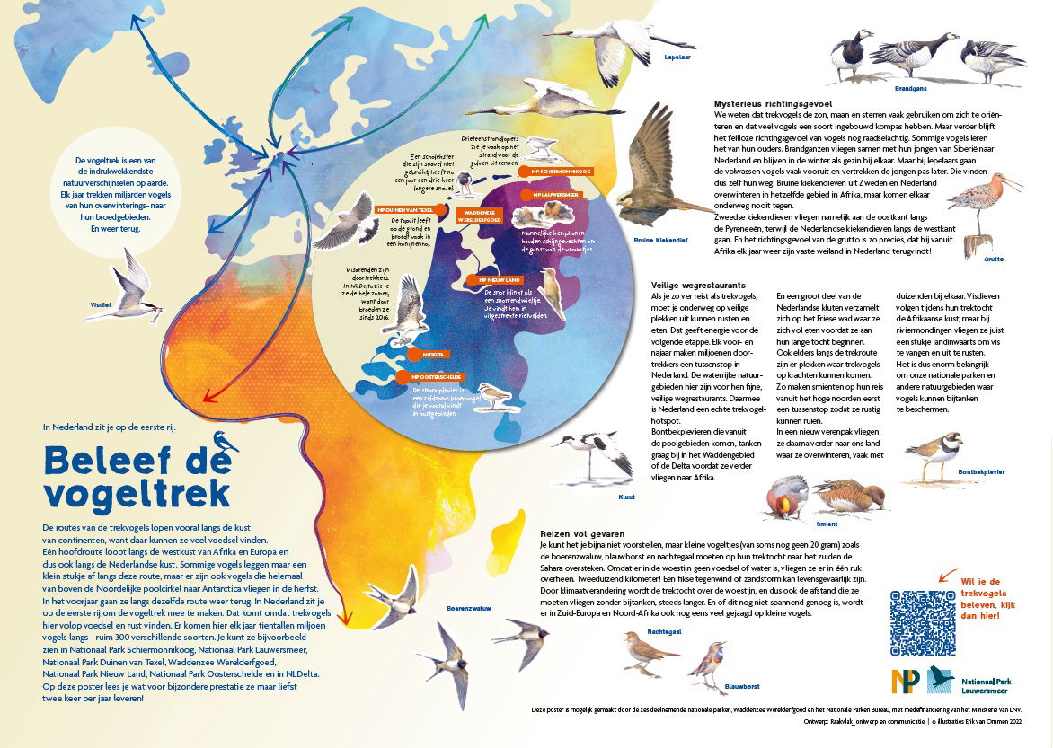 Wat is het verhaal van de trekvogel? | NPO Radio 5